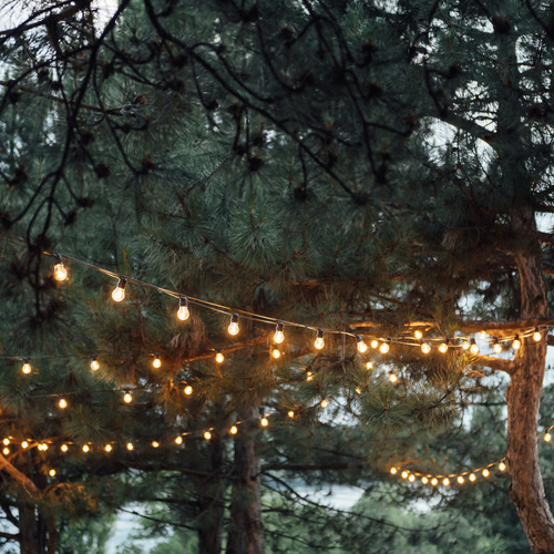 Chiswick Living 50m Warm White Shelby LED Outdoor Festoon Lights ...