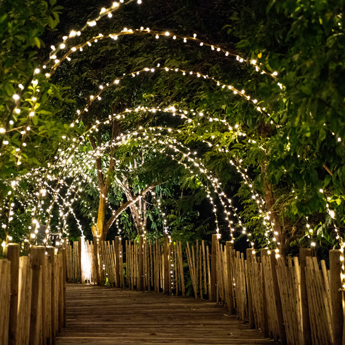 200 Warm White Ottawa Smart Wi-Fi LED String Lights | Temple & Webster