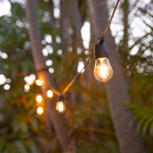 Warm White Shelby Replacement Festoon Light Bulbs | Temple & Webster