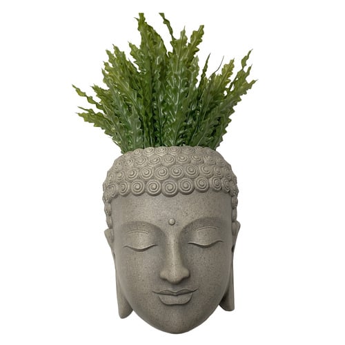 Buddha Head Wall Mounted Planter | Temple & Webster