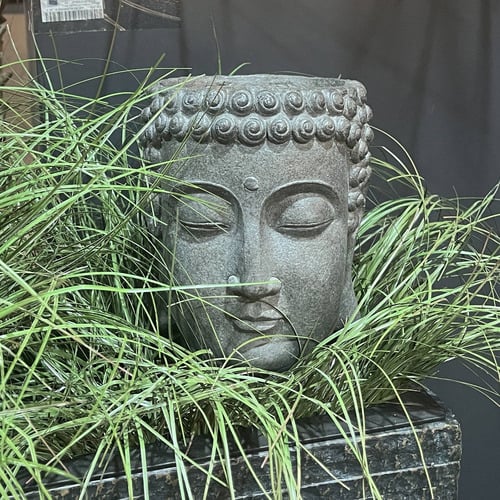 K'sHomewares&Decor Buddha Head Planter | Temple & Webster