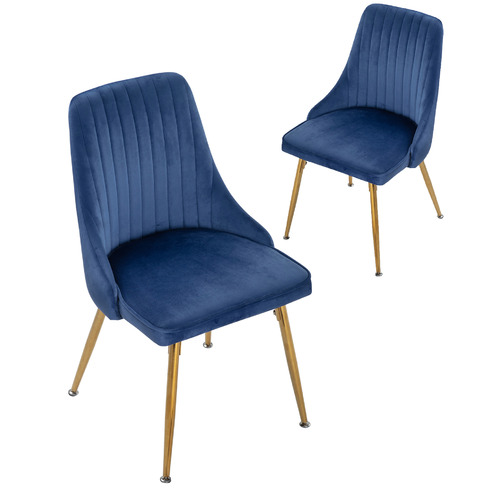 Ever Dreaming Living Timur Velvet Side Chairs | Temple & Webster