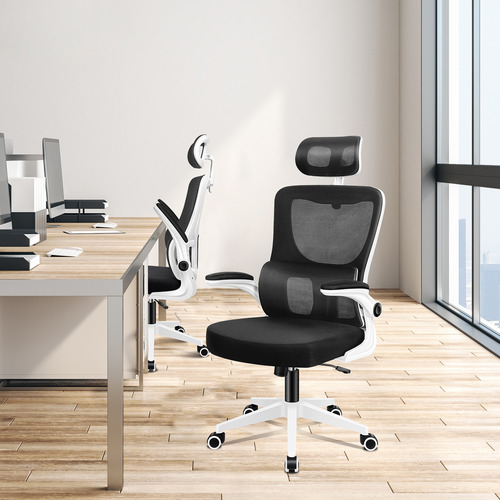 HoxtonRoom Ortiz High Back Office Chair | Temple & Webster