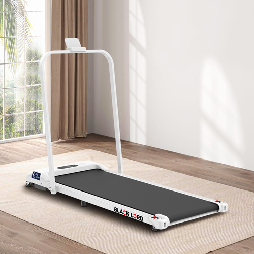 HoxtonRoom Omari Walking Pad with Handrail | Temple & Webster