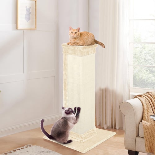 HoxtonRoom 92cm Onza Scratching Post | Temple & Webster