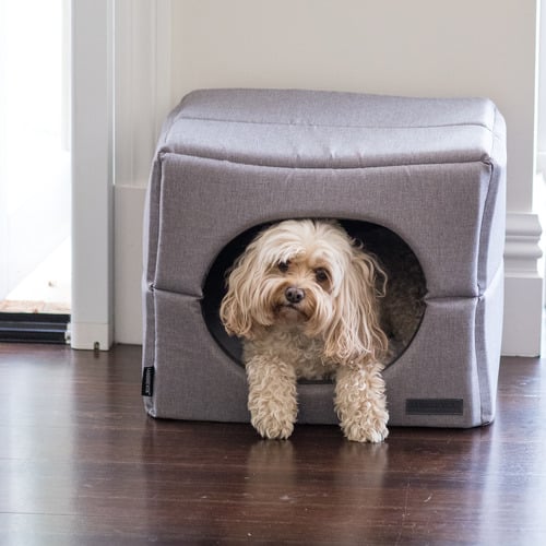 Grey Water Resistant Cube Pet Bed | Temple & Webster