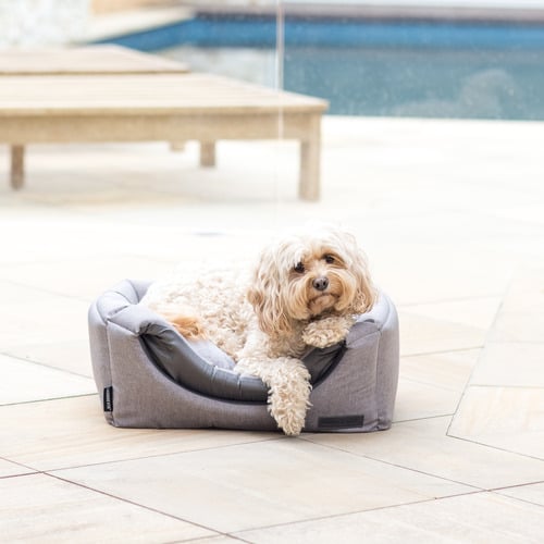 Grey Water Resistant Cube Pet Bed | Temple & Webster