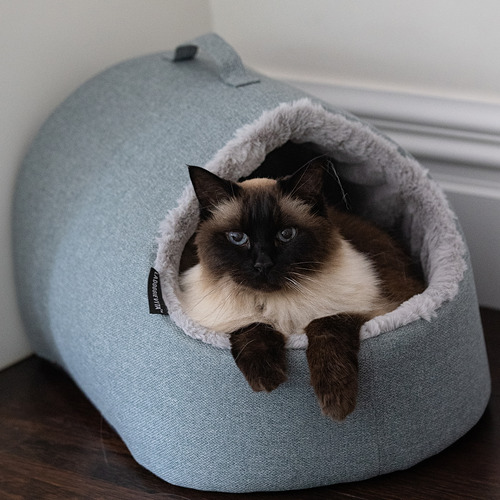 Como Eggshell Hooded Cat Bed | Temple & Webster