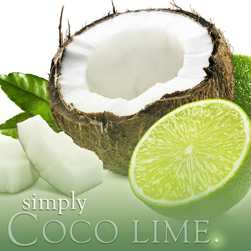 200ml Coco Lime Reed Diffuser Refill | Temple & Webster