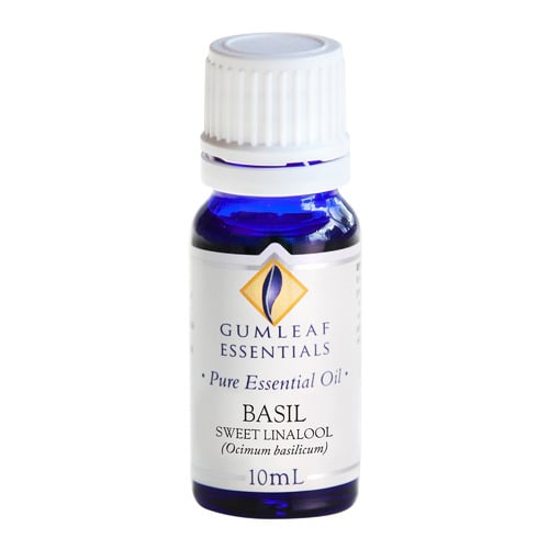 10ml Basil Sweet Linalool Essential Oil | Temple & Webster