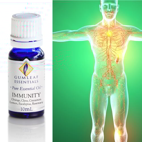 10ml Immunity Essential Oil Blend | Temple & Webster