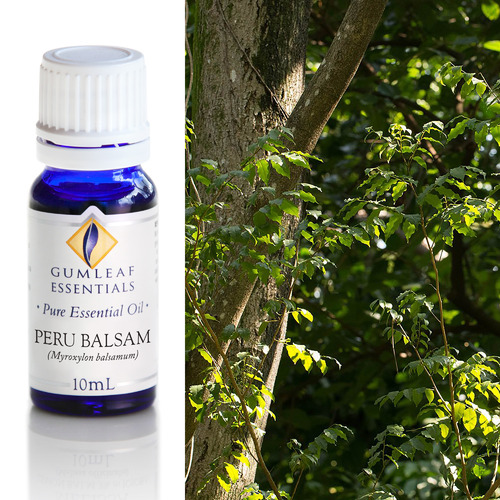 10ml Peru Balsam Essential Oil | Temple & Webster