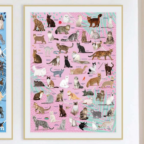 1000 Piece Fancy Felines Wall Puzzle | Temple & Webster