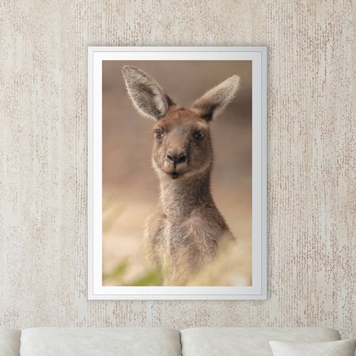 Art Prints Unique The Beautiful Roo Printed Wall Art | Temple & Webster