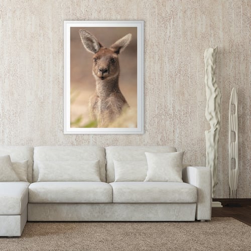 Art Prints Unique The Beautiful Roo Printed Wall Art | Temple & Webster