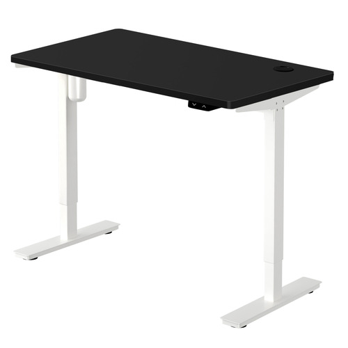 LivingFusion Hodgkin 120cm Single Motor Sit & Stand Desk | Temple & Webster