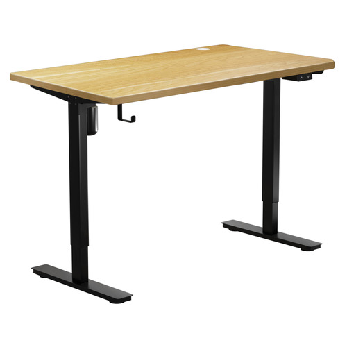 Lonsdale 150cm Single Motor Sit & Stand Desk | Temple & Webster