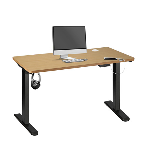 LivingFusion Alwyn III 120cm Dual Motor Electric Sit & Stand Desk ...