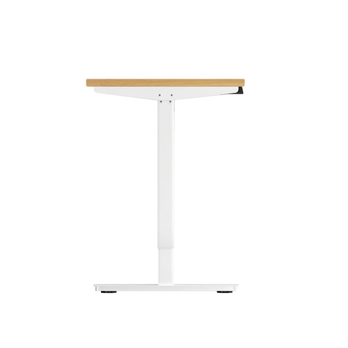 LivingFusion Hodgkin 120cm Single Motor Sit & Stand Desk | Temple & Webster