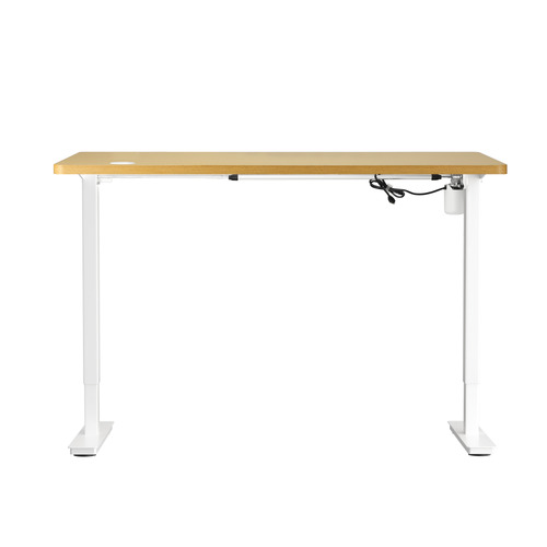 LivingFusion Hodgkin 120cm Single Motor Sit & Stand Desk | Temple & Webster