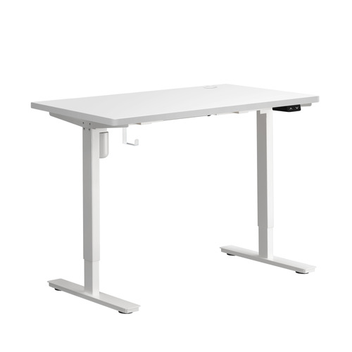 LivingFusion Hodgkin 120cm Single Motor Sit & Stand Desk | Temple & Webster