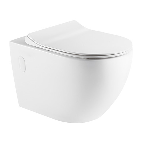 Raul Rimless Wall Hung Toilet Pan | Temple & Webster