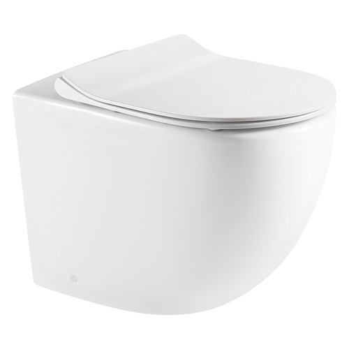 Raul Rimless Wall Faced Toilet Pan | Temple & Webster
