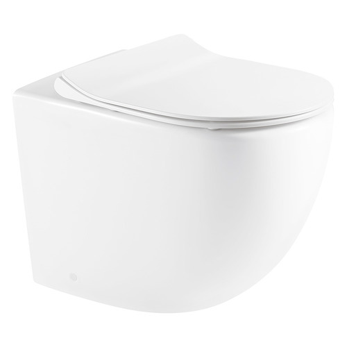 Raul Rimless Wall Faced Toilet Pan | Temple & Webster