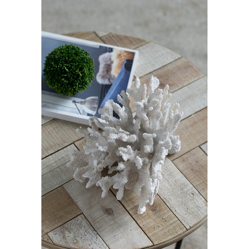 SandStoneSea Large Faux Coral Table Accent | Temple & Webster