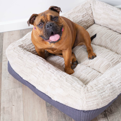 Kazoo Possum Pet Bed | Temple & Webster