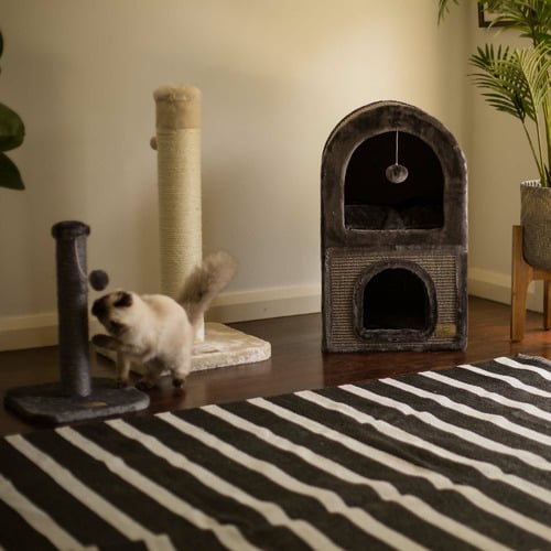 Kazoo Cat Scratching Post with Toy | Temple & Webster