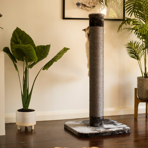 Kazoo Cat Scratching Post with Toy | Temple & Webster