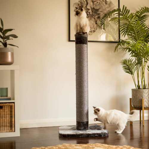 Kazoo Cat Scratching Post with Toy | Temple & Webster