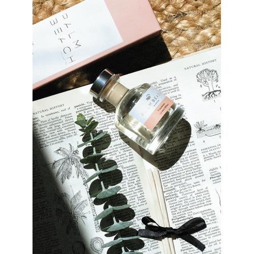 PalmBeachCollection 50ml Watermelon Fragrance Diffuser | Temple & Webster