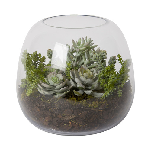 22cm Faux Bell Sedum Pick Succulent in Glass Bowl | Temple & Webster
