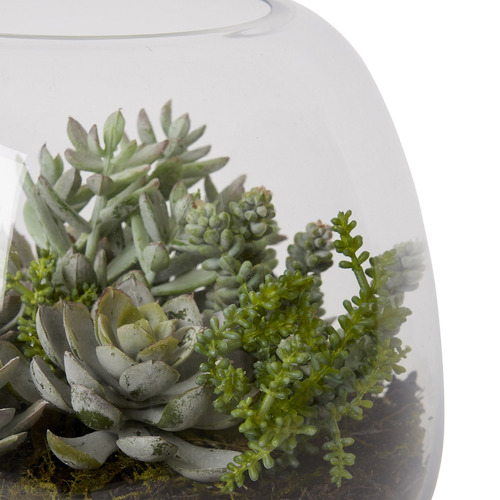 22cm Faux Bell Sedum Pick Succulent in Glass Bowl | Temple & Webster