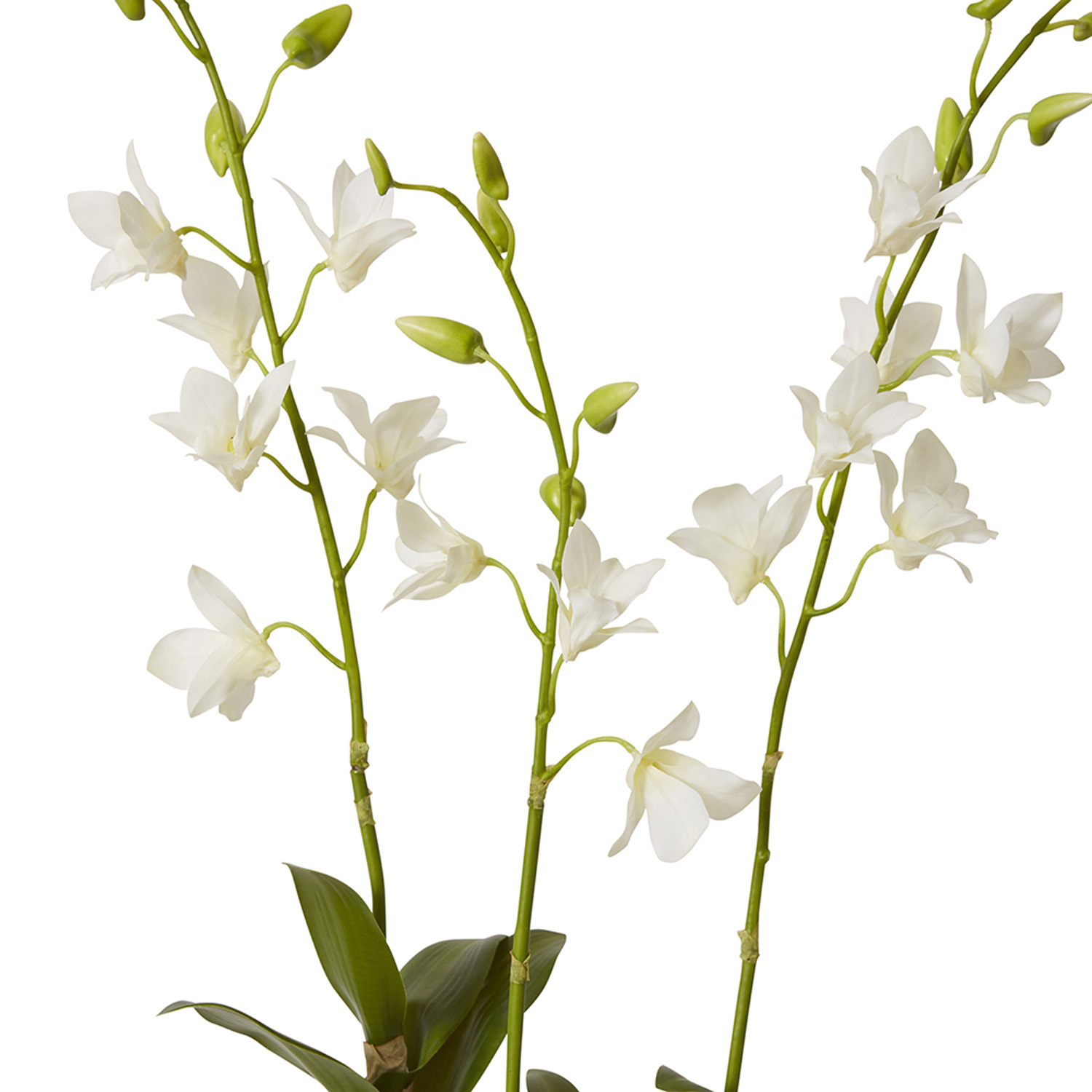 89cm White Potted Faux Orchid Dendrobium Flower | Temple & Webster