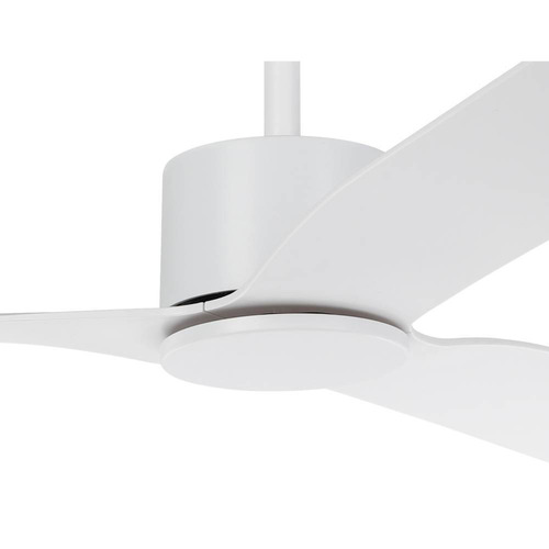 Iluka DC Ceiling Fan with Remote Control | Temple & Webster