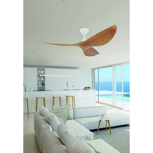 Eglo 127cm Cabarita DC Ceiling Fan with Remote Control | Temple & Webster