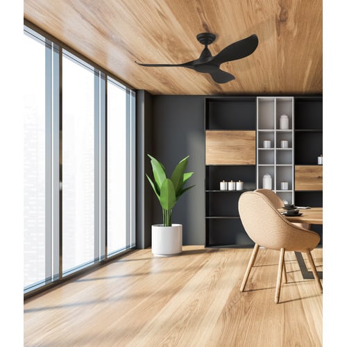 Eglo Noosa DC Ceiling Fan with Remote Control | Temple & Webster