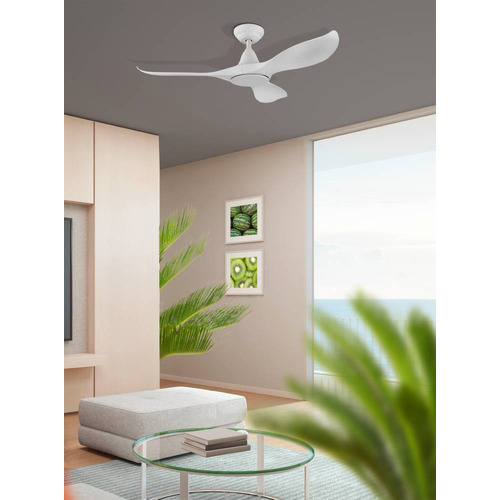 Eglo Noosa DC Ceiling Fan with Remote Control | Temple & Webster
