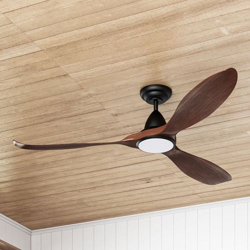 Eglo Noosa DC Ceiling Fan with LED | Temple & Webster