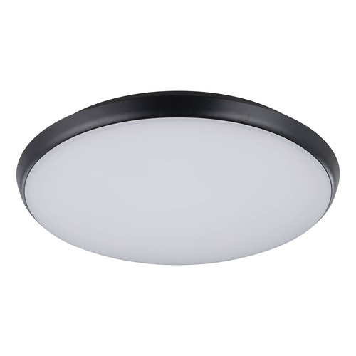 Eglo Ollie II 30cm Outdoor LED Oyster Light | Temple & Webster