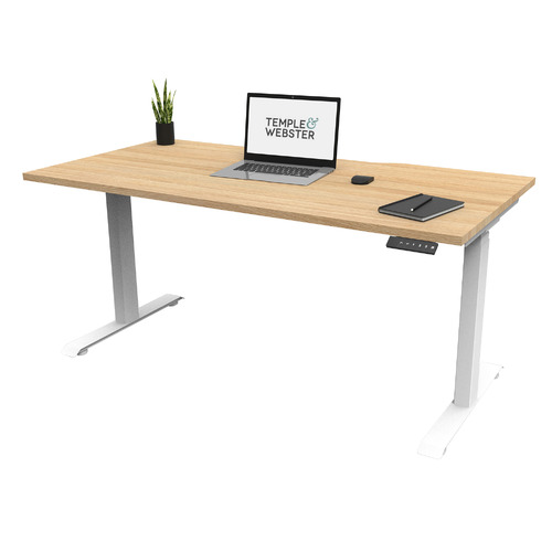 Herschel 120cm Economy Electric Sit & Stand Desk | Temple & Webster