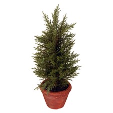 Christmas Decorations | Temple & Webster