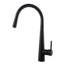 Black Kitchen Tapware | Temple & Webster