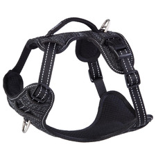 Dog Collars, Leashes & Harnesses | Temple & Webster