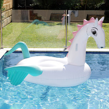 Pool Toys & Floats | Temple & Webster