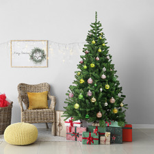 Christmas Trees | Temple & Webster