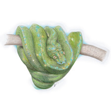 Wall Stickers & Decals - Product Type: Wall Decals & Stickers | Temple ...